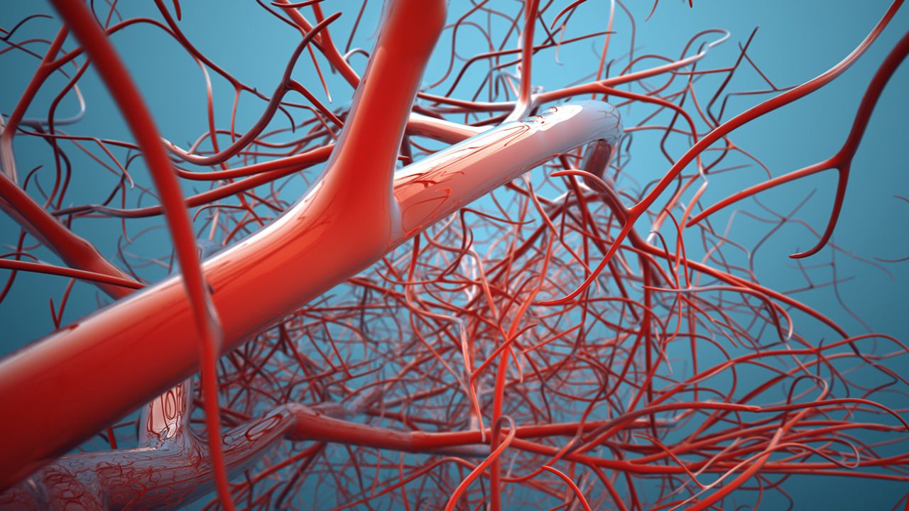 Vascular sugery - Health Nation